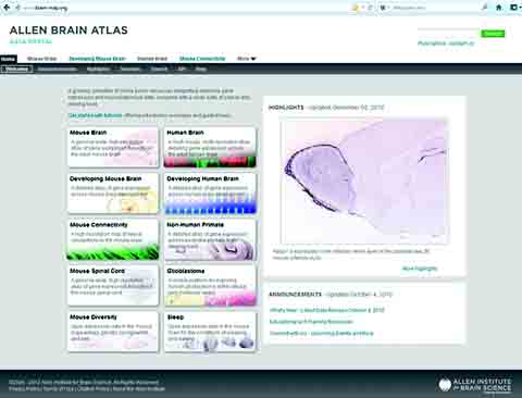 The Allen Brain Atlas | SpringerLink