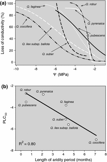 Xylem Cavitation and Embolism in Plants Living in Water-Limited ...