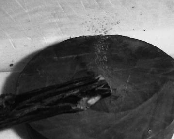 Xylem Cavitation and Embolism in Plants Living in Water-Limited ...