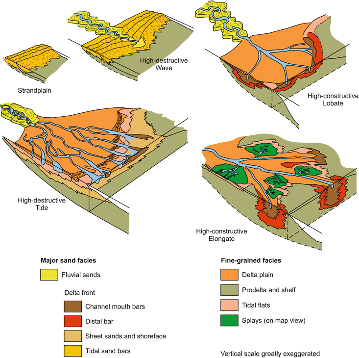 Introduction to Sedimentology | SpringerLink