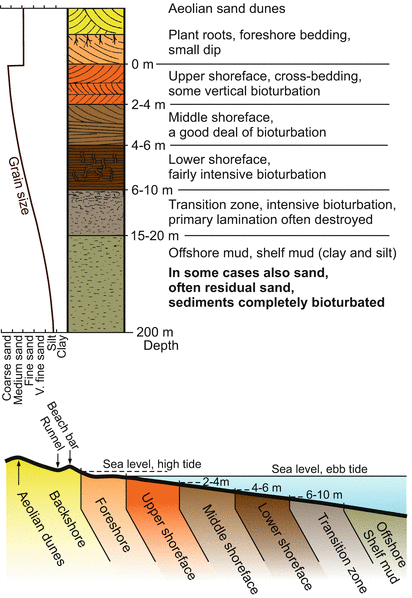 Introduction to Sedimentology | SpringerLink