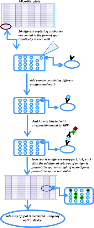 ELISA-Based Identification and Detection of Microbes | SpringerLink