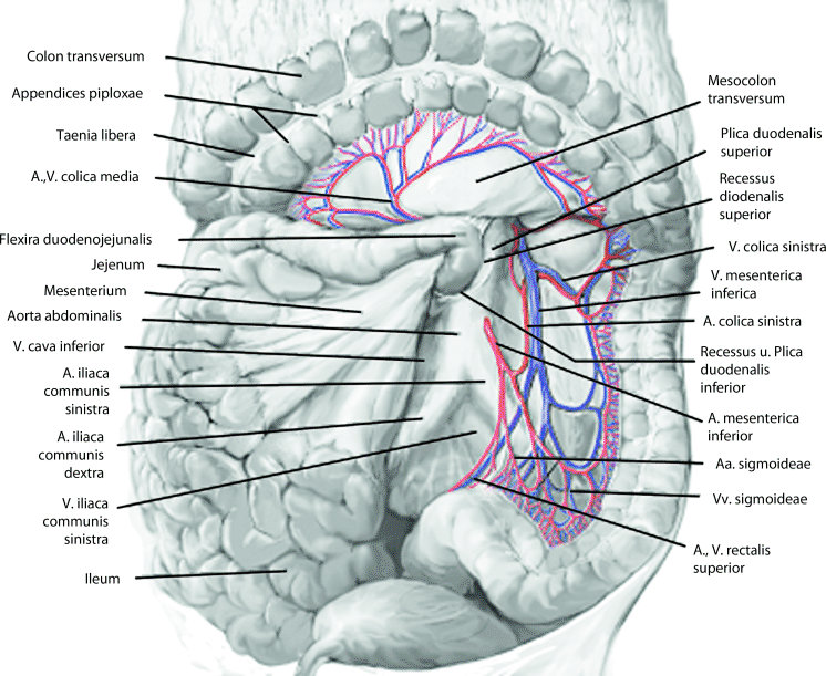 Operation im Retroperitoneum | SpringerLink