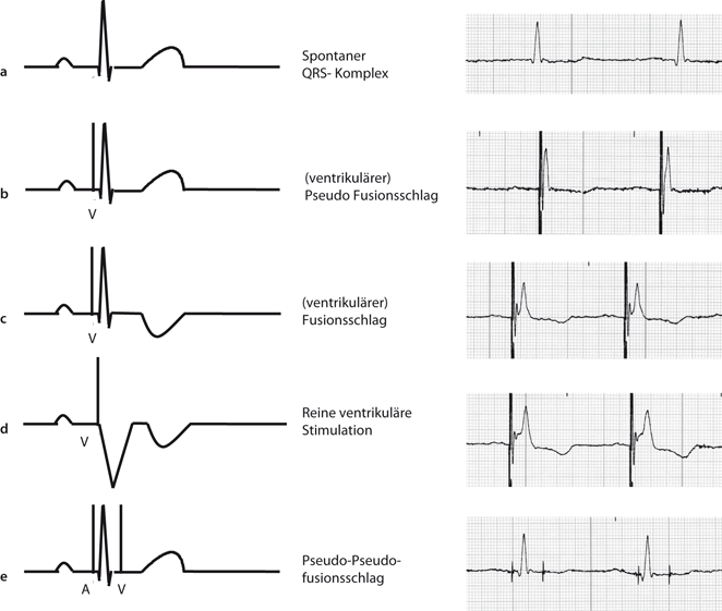 Grundlagen | SpringerLink
