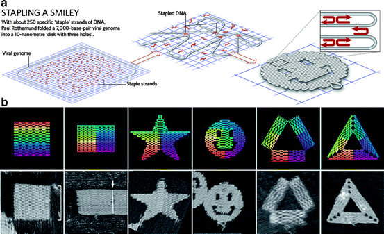 DNA Origami Nanostructures | SpringerLink