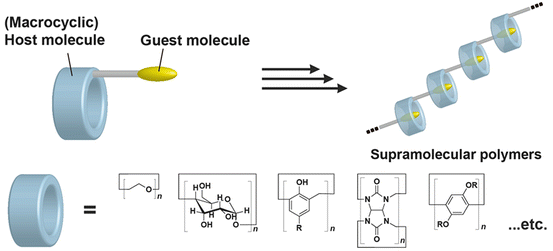 Supramolecular Polymers (Host-Guest Interactions) | SpringerLink
