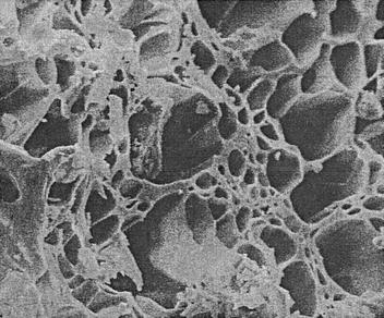 Natural Pozzolans | SpringerLink