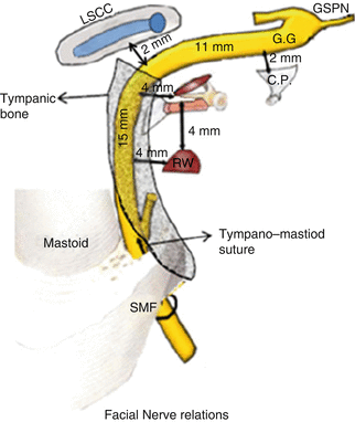 Facial Nerve | SpringerLink