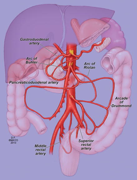 Visceral Artery Revascularization | SpringerLink