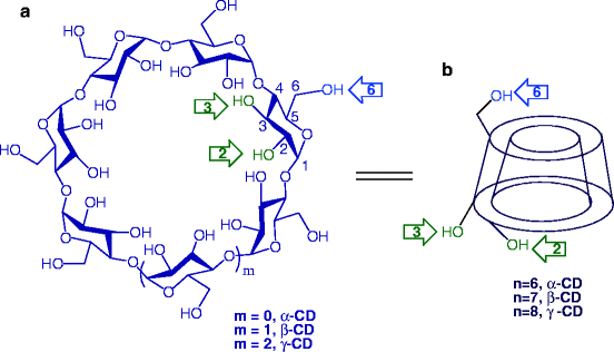 Modification of Cyclodextrin | SpringerLink