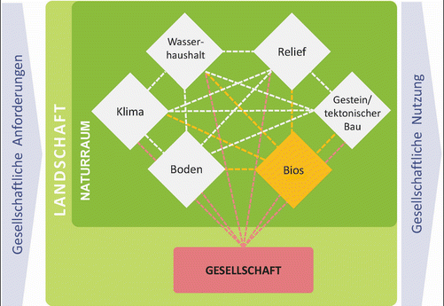 Wissenschaftliche Grundlagen der Landschaftsplanung | SpringerLink