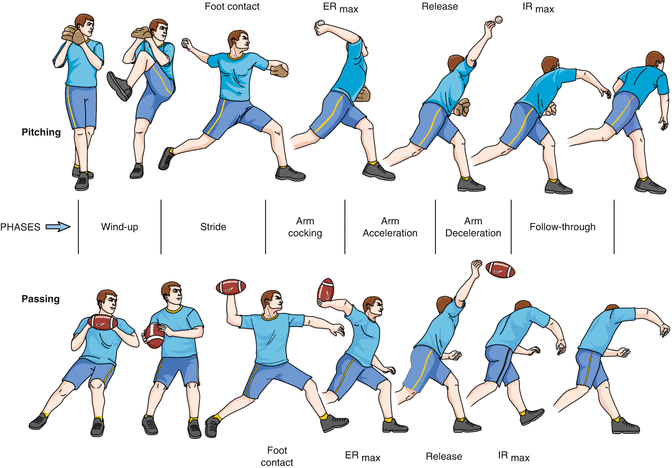 Epidemiology of Shoulder Injuries in Overhead Athletes | SpringerLink
