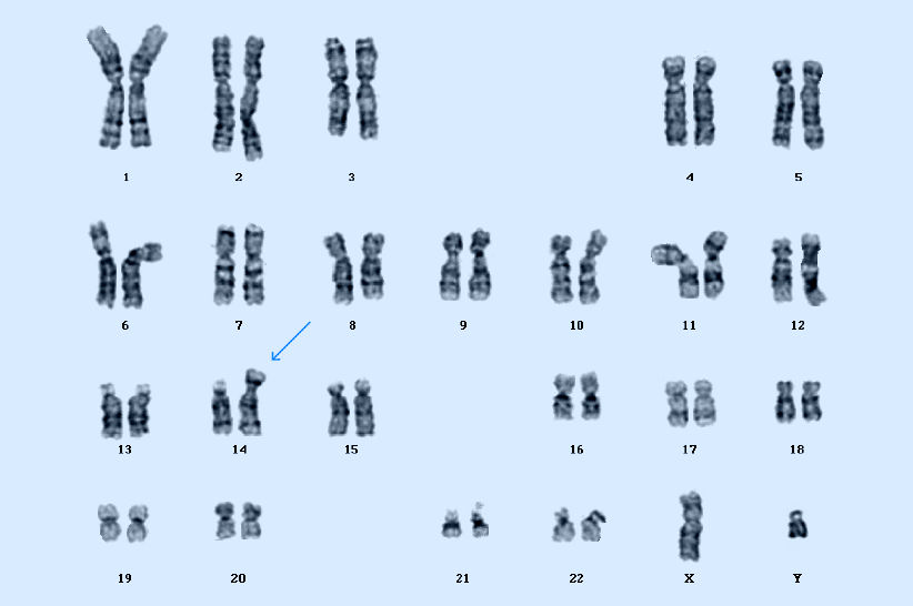 Diagnostische Methoden | SpringerLink