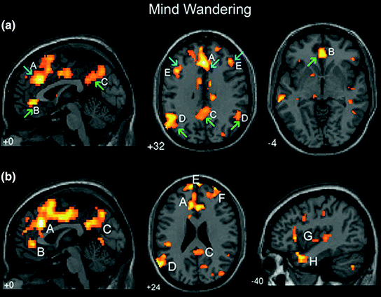 Metacognitive Facilitation of Spontaneous Thought Processes: When ...