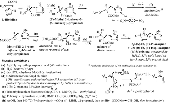 Pi locarpine and Isopi locarpine ( l-Histidine-Derived Imidazo le A lka ...