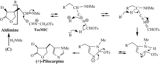 Pi locarpine and Isopi locarpine ( l-Histidine-Derived Imidazo le A lka ...