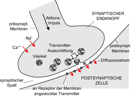 Voraussetzungen | SpringerLink
