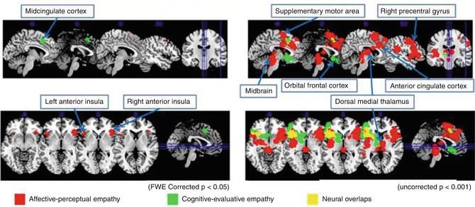 Emotions | SpringerLink