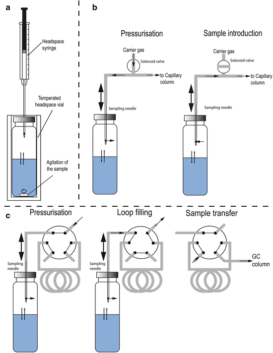 Solvent-Free Extraction and Injection Techniques | SpringerLink