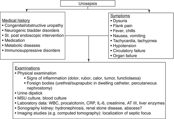 Urosepsis | SpringerLink
