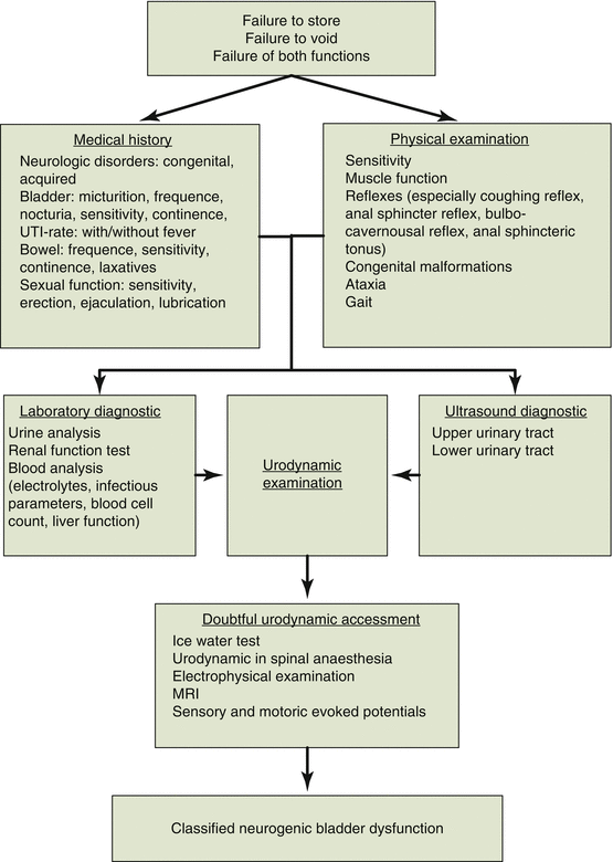 Neurogenic Bladder Dysfunction (NBD) | SpringerLink