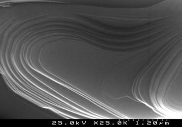 Multiferroic and Magnetoelectric Hexagonal Ferrites | SpringerLink