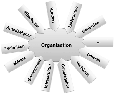 Umfeld der Organisation | SpringerLink