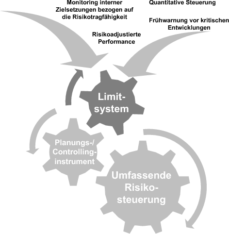 Steuerung der Risiken | SpringerLink