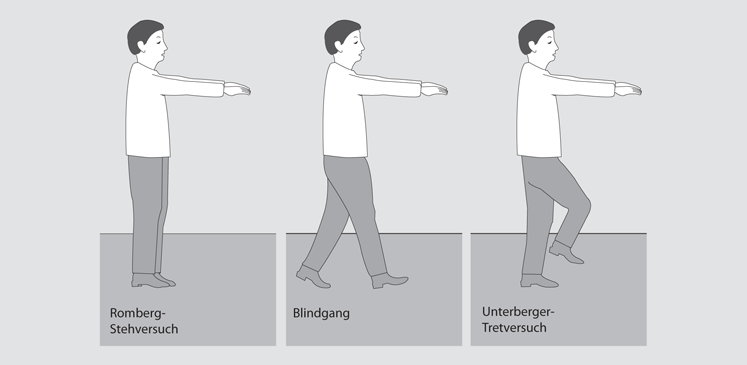 Sinnesorgane | SpringerLink