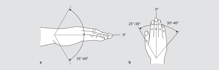 Bewegungsapparat | SpringerLink