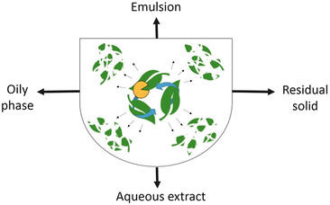 Enzymatic Aqueous Extraction (EAE) | SpringerLink