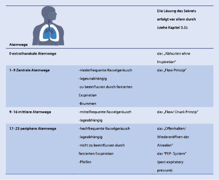 Herz- und Lungenauskultation, Perkussion und Stimmfremitus | SpringerLink