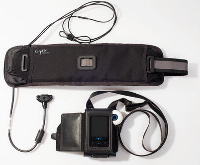 Procedure for Small Bowel Video Capsule Endoscopy | SpringerLink