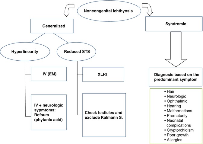 Ichthyoses | SpringerLink