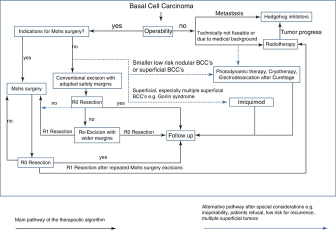 Basal Cell Carcinoma | SpringerLink