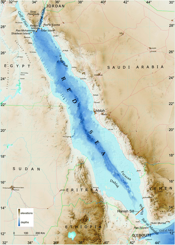 Introduction to the Red Sea: Its Origin, Structure, and Environment ...