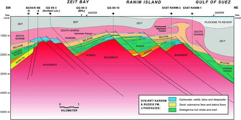Geological Evolution of the Red Sea: Historical Background, Review, and ...
