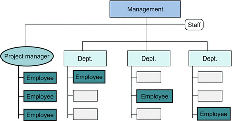 The Project Organisation | SpringerLink