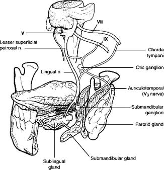 Introduction | SpringerLink