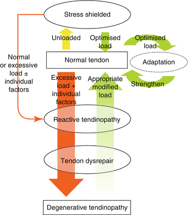 Sports Injuries | SpringerLink