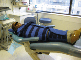 Behavior and the Child | SpringerLink