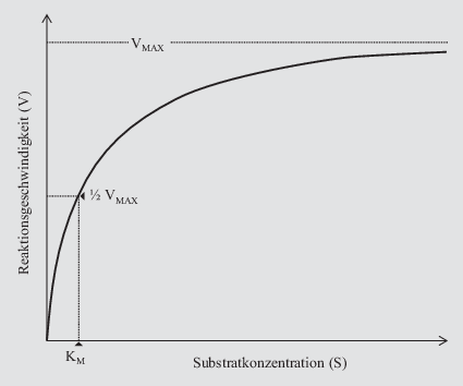 Enzyme | SpringerLink