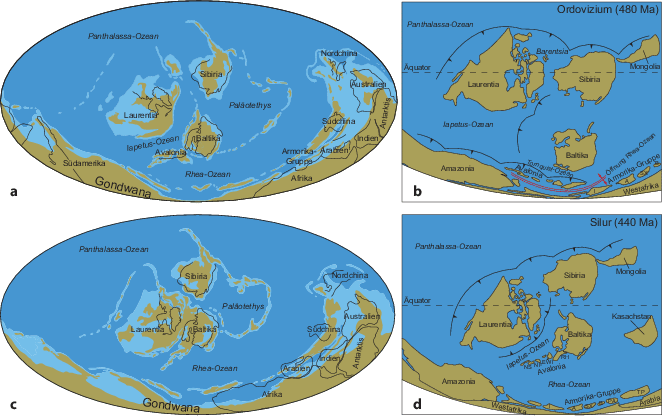 Paläozoikum II – Ordovizium und Silur | SpringerLink