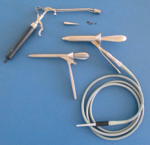 Proktologische Diagnostik: Proktoskopie, Rektoskopie und Endosonografie ...