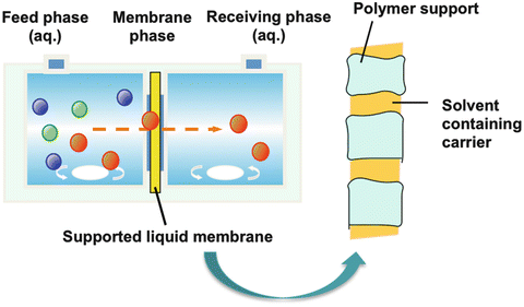 Ionic Liquid-Based Extraction and the Application to Liquid Membrane ...