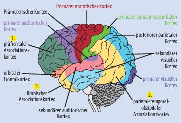 Biofeedback und Neurofeedback | SpringerLink