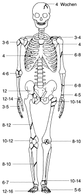 Der traumatisierte Knochen | SpringerLink