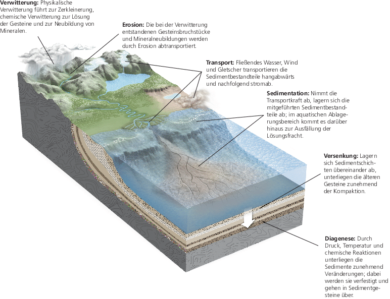 Sedimente und Sedimentgesteine | SpringerLink
