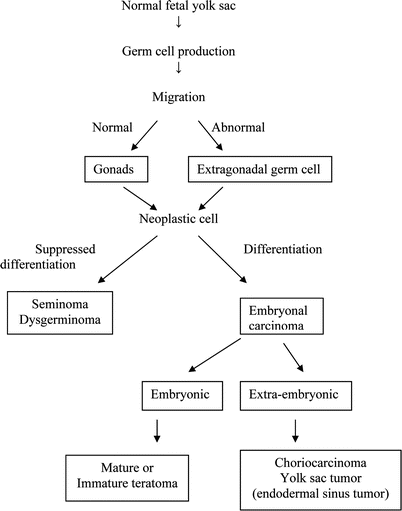 Malignant Germ Cell Tumors | SpringerLink