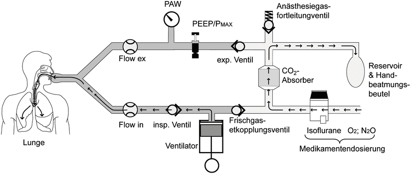 Anästhesie-Arbeitsplatz | SpringerLink